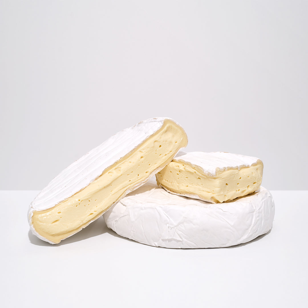 New Zealand Cheese Ltd – New Zealand Cheese Ltd.